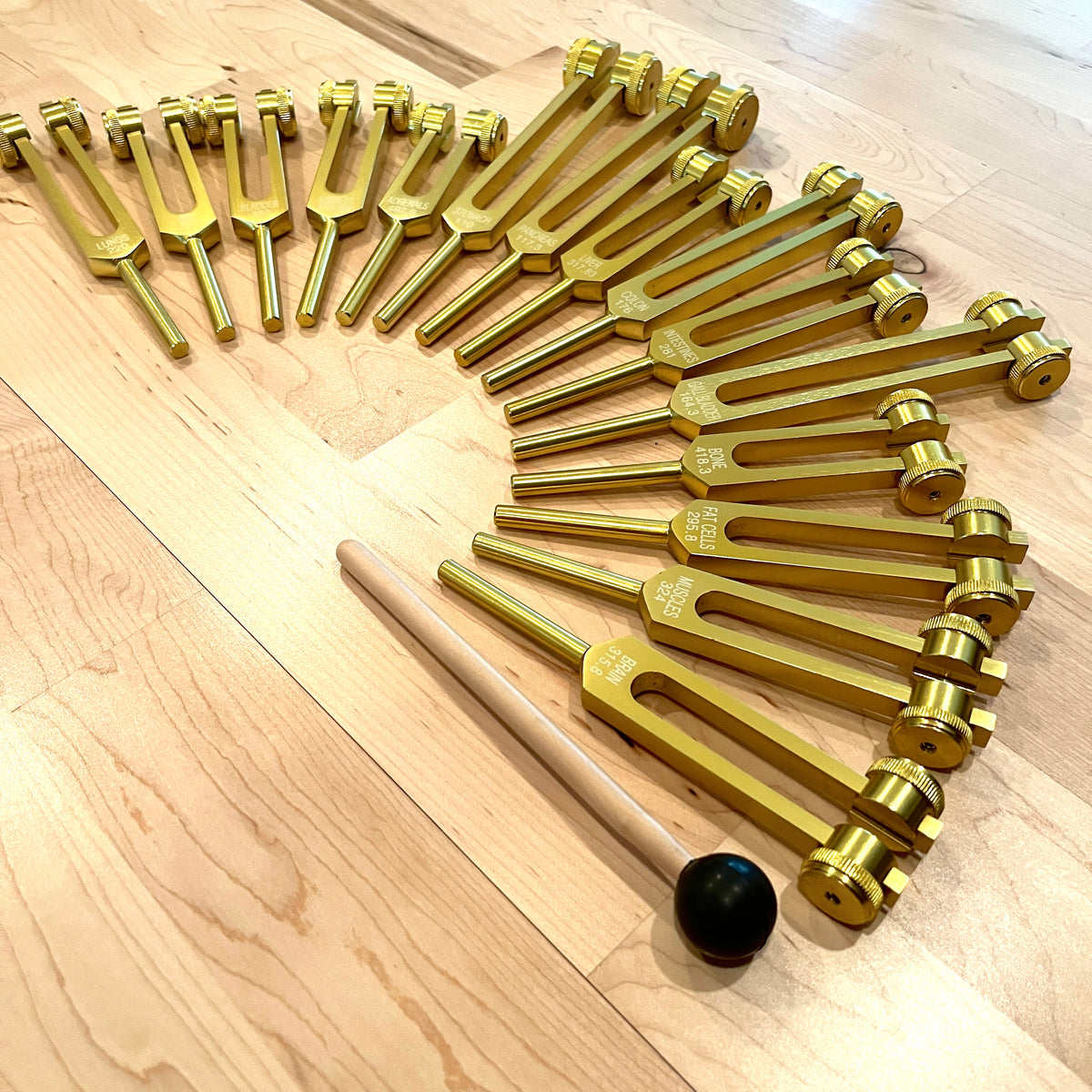 15 pc Human Organ Tuning Fork Set with Velvet Pouch and Mallet – Life ...